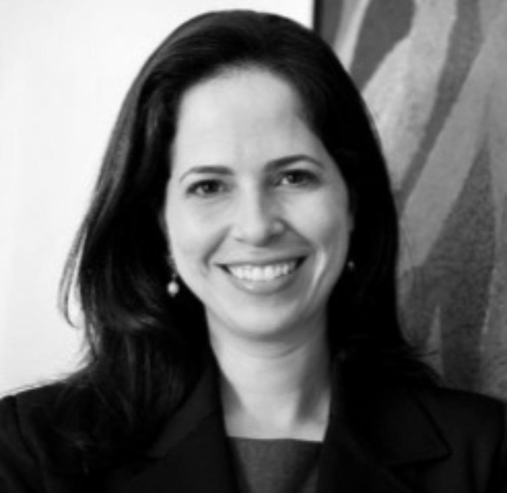 Committees - Finncham Brazil